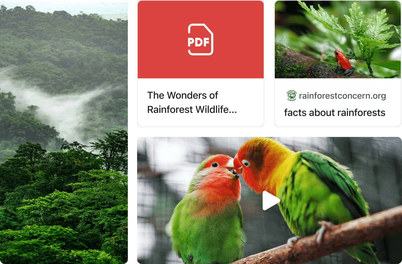 Wakelet - Save, organize and share content